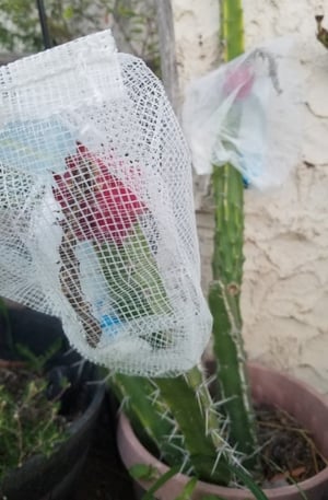 How to Upcycle and Reuse your Fox Packaging